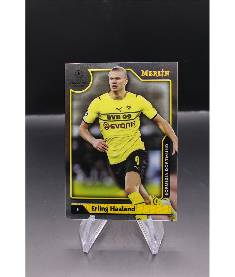 Erling Haaland - Card Center